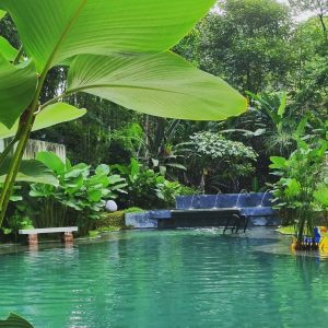 Contact – 82 Rening